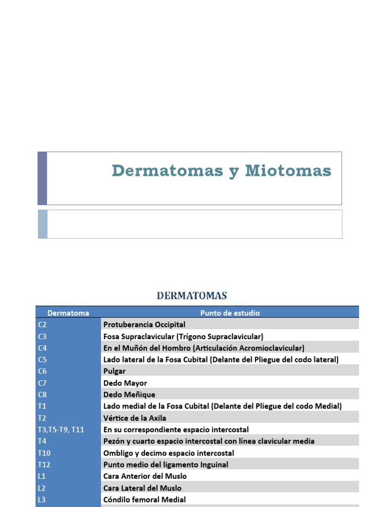 Dermatomas y Miotomas | PDF | Codo | Anatomía humana