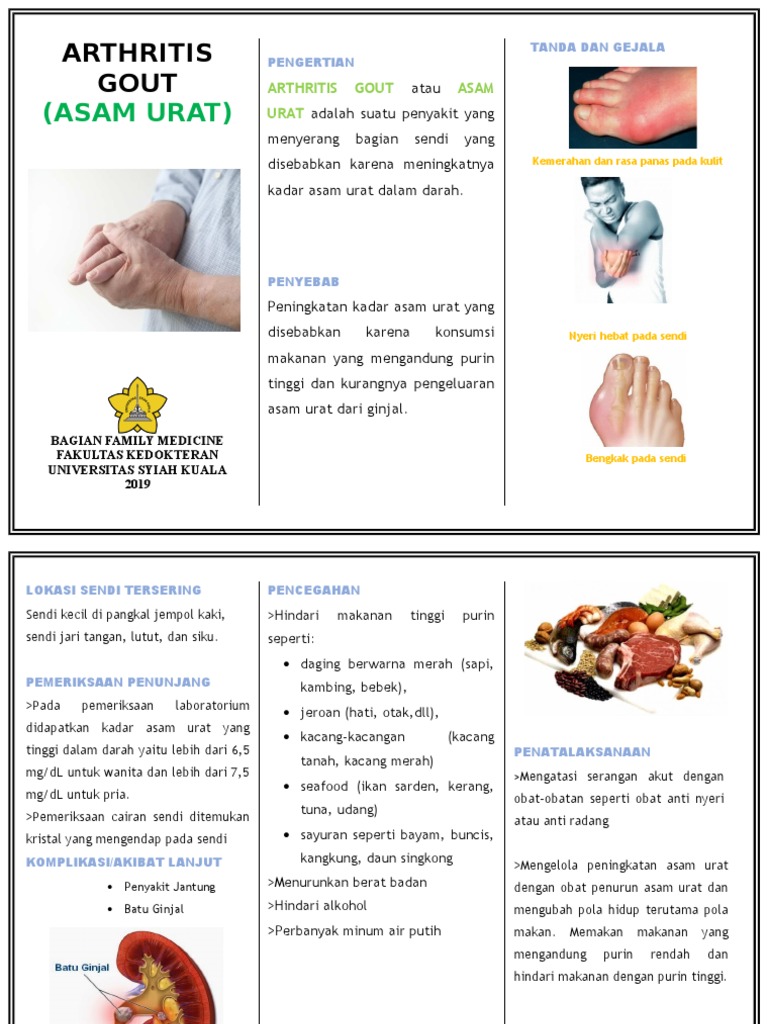 Leaflet-Gout Arthritis NAJIB | PDF