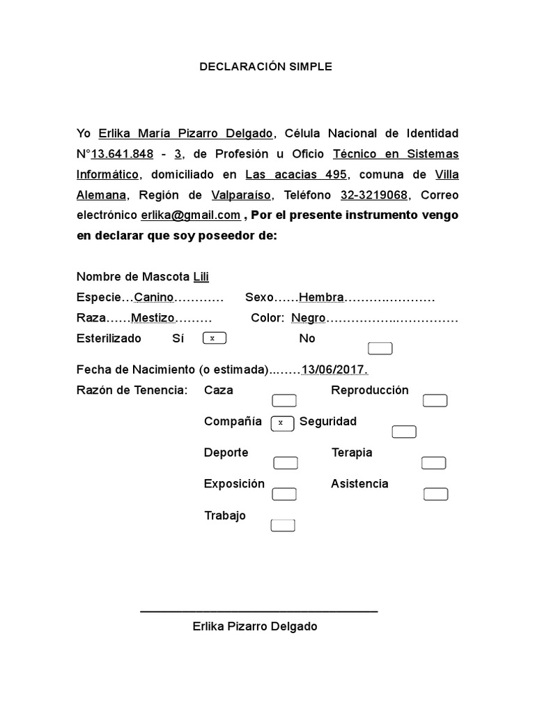 Declaracion Simple Poseedor | PDF