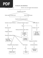 Pathway Emfisema | PDF