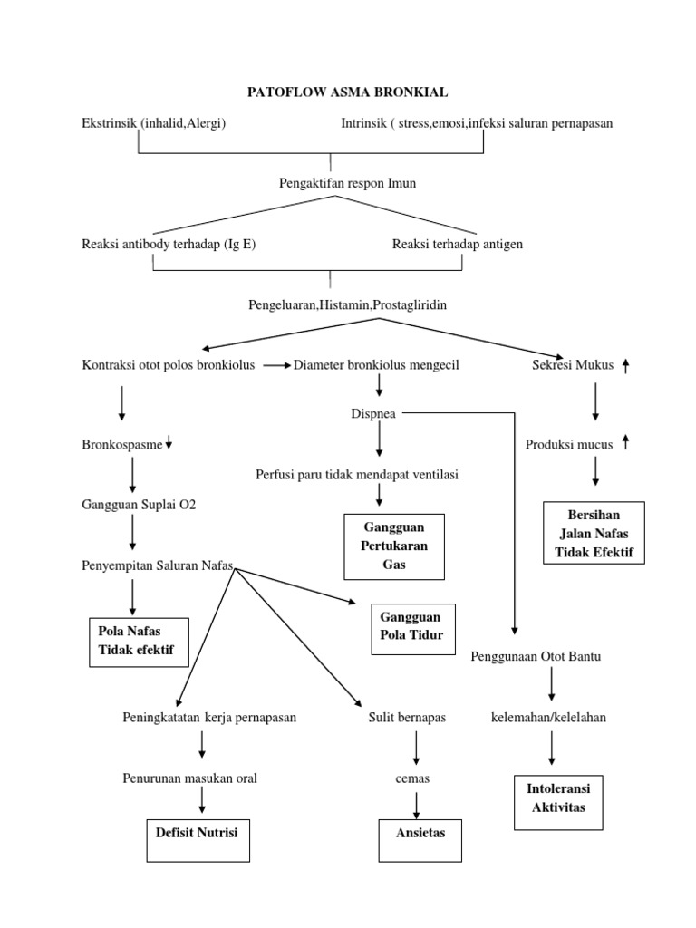 Patoflow Asma Bronkial | PDF