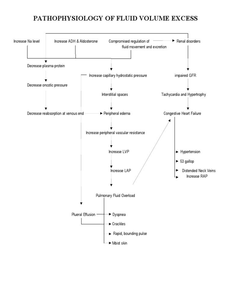 Pa Tho Physiology of Fluid Volume Excess | PDF