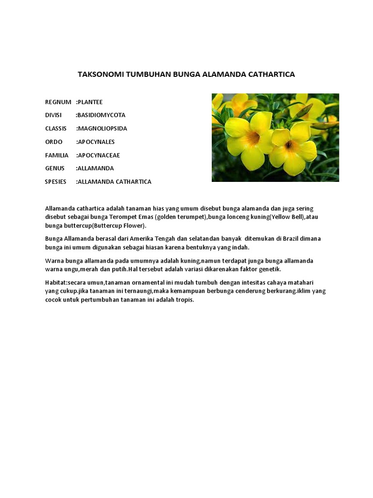 Taksonomi Tumbuhan Bunga Alamanda | PDF