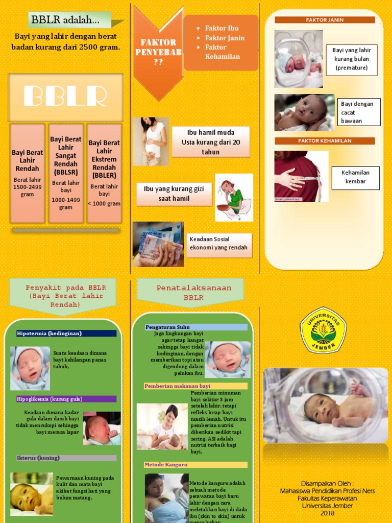 Leaflet Penyuluhan BBLR | PDF