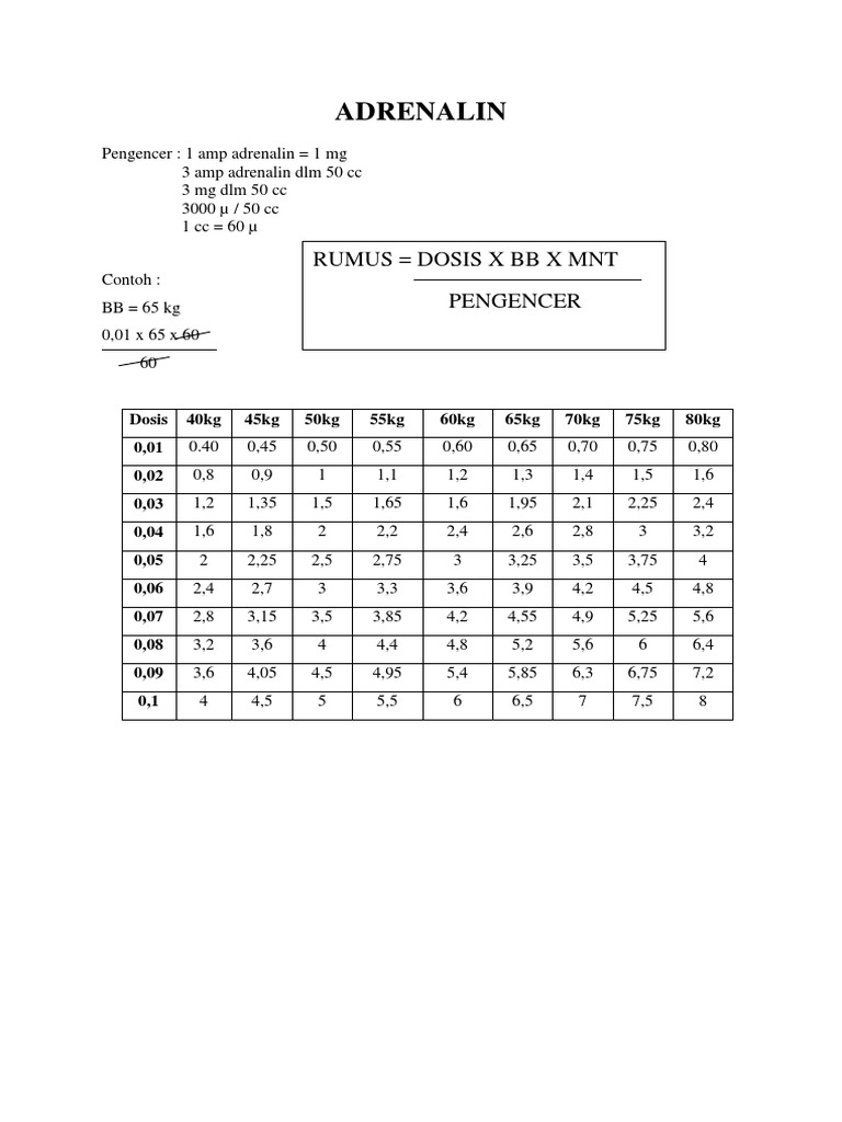 Lembar Observasi Pemberian Obat Raivas | PDF