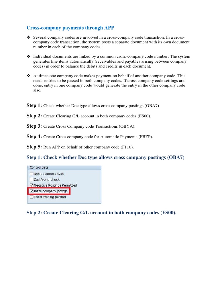 Cross Company Code Payments Through APP | PDF