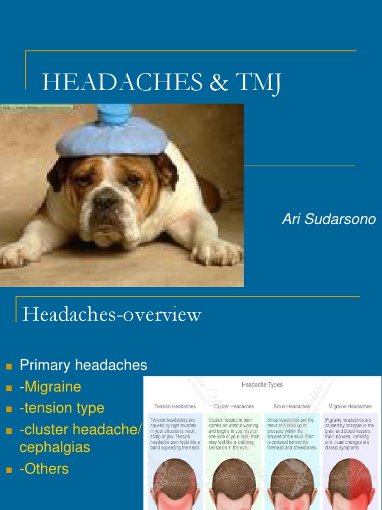 Headaches & TMJ: Ari Sudarsono | PDF | Headache | Mucus