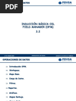 Manual de Ofm (Oil Field Manager) | PDF | Tabla (base de datos) | Mapa