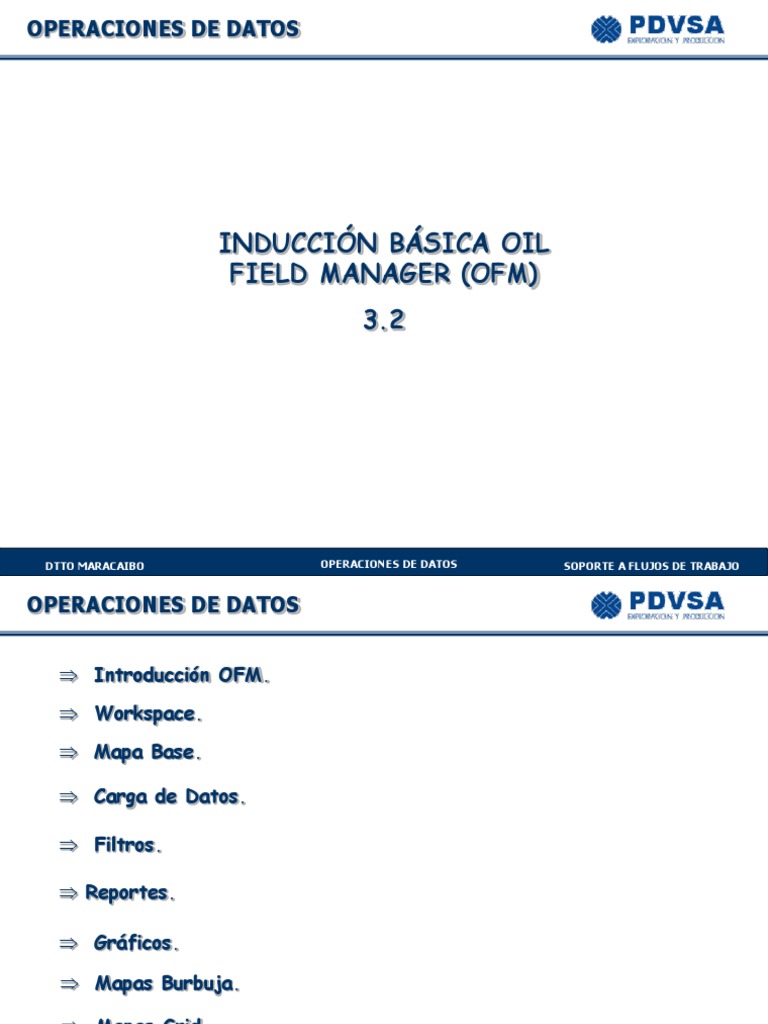 Software Ofm | PDF | Tabla (base de datos) | Bases de datos