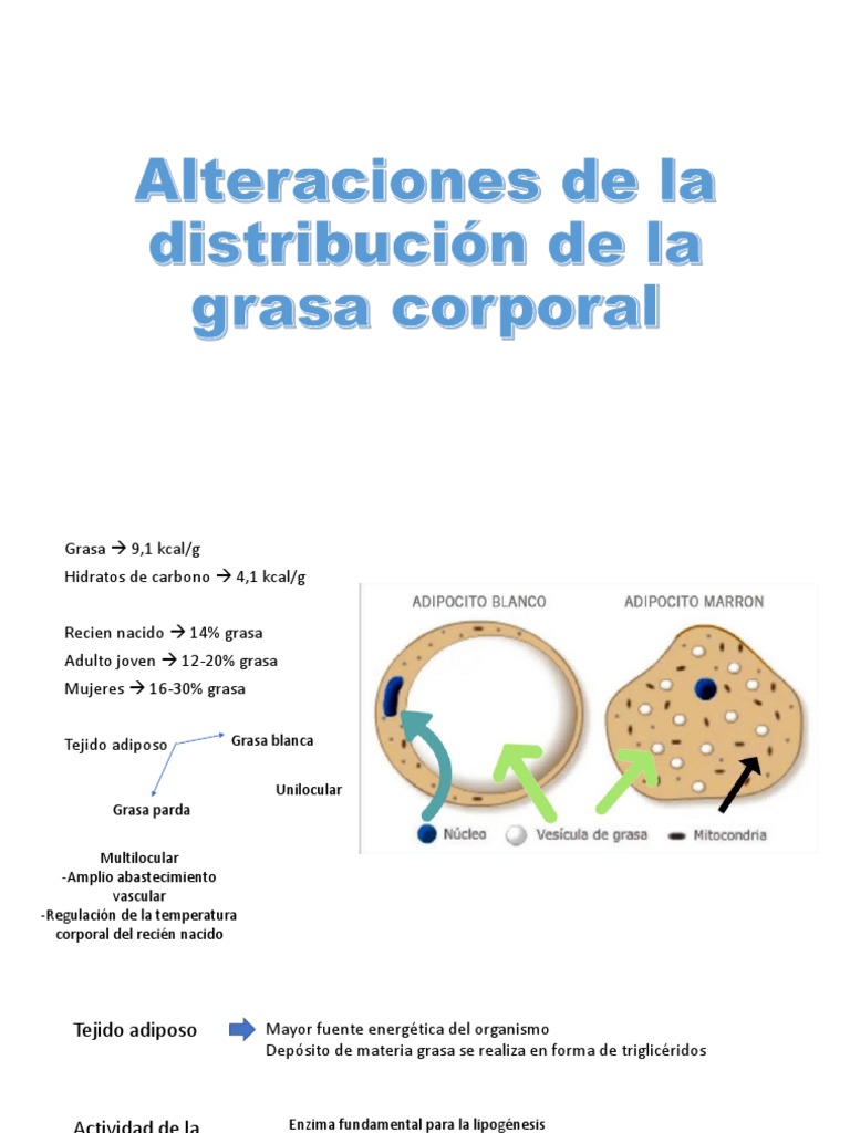 Alteraciones de La Distribución de La Grasa Corporal | Descargar gratis PDF | Tejido adiposo ...