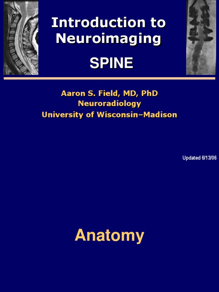 Spine Pdf Vertebral Column Vertebra