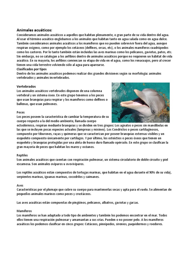 Animales Acuáticos | PDF | Esponja | Pescado