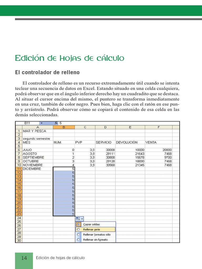 Edicion Hojas de Calculo excel | Hoja de cálculo | Point and Click