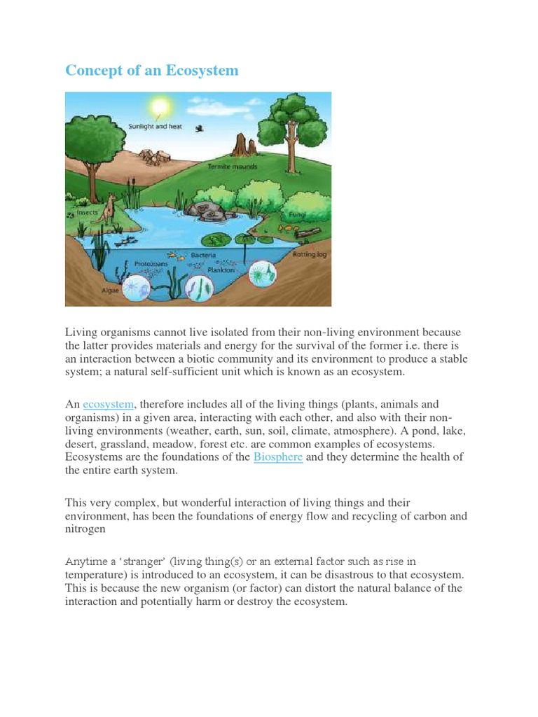 Concept of An Ecosystem | PDF | Ecosystem | Soil