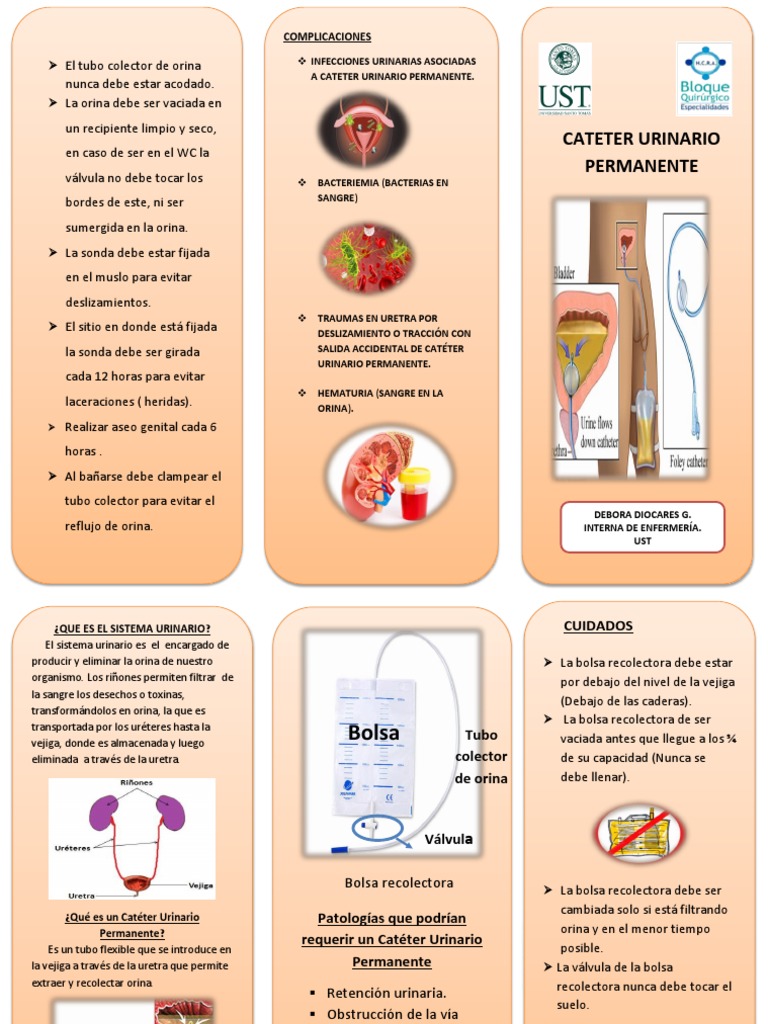 Triptico Cup | PDF | Sistema urinario | Orina
