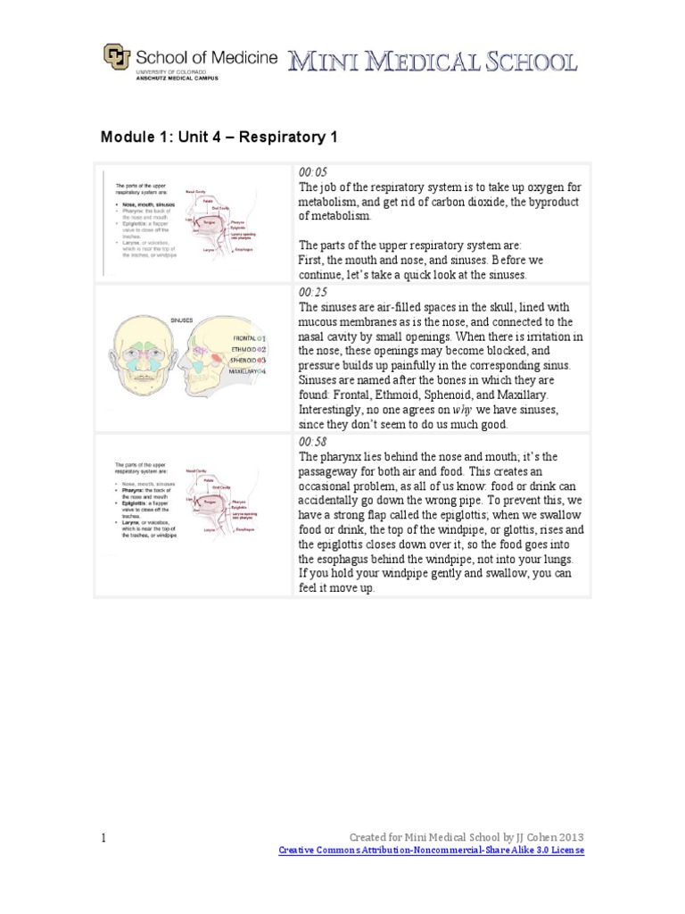 Module 1: Unit 4 - Respiratory 1: Creative Commons Attribution ...