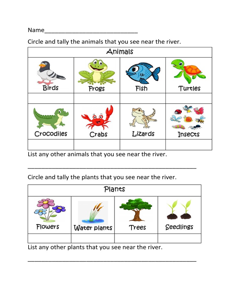 Excursion Activity | PDF