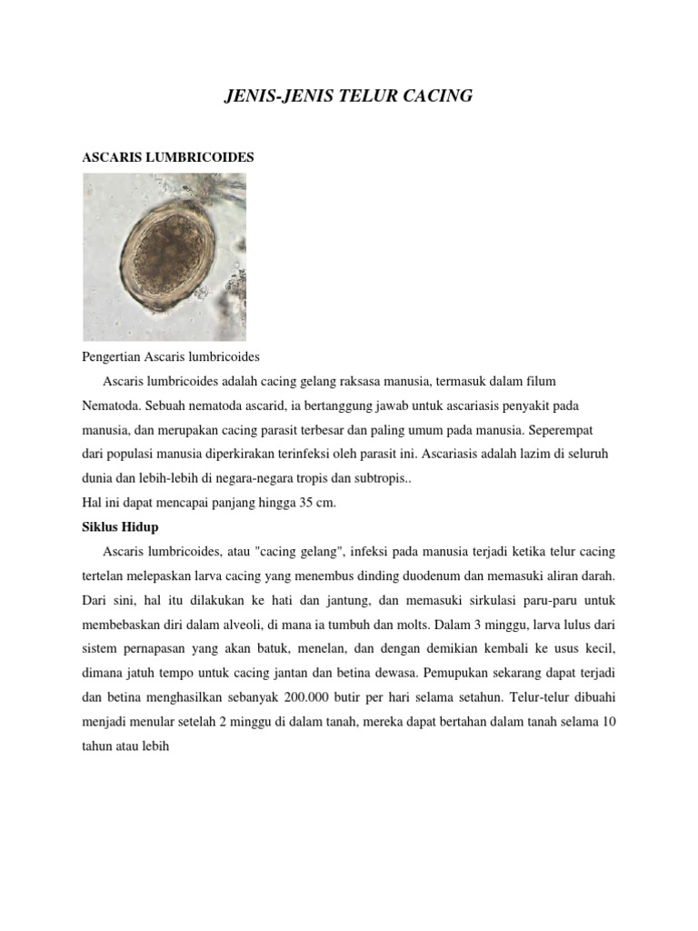 Jenis-Jenis Telur Cacing | PDF