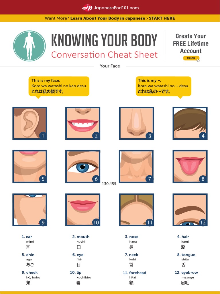 Knowing Your Body: Conversation Cheat Sheet | PDF | Human Anatomy ...