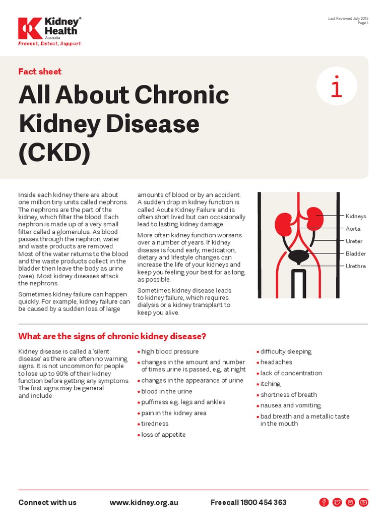 All About Chronic Kidney Disease (CKD) : Fact Sheet | PDF | Renal ...