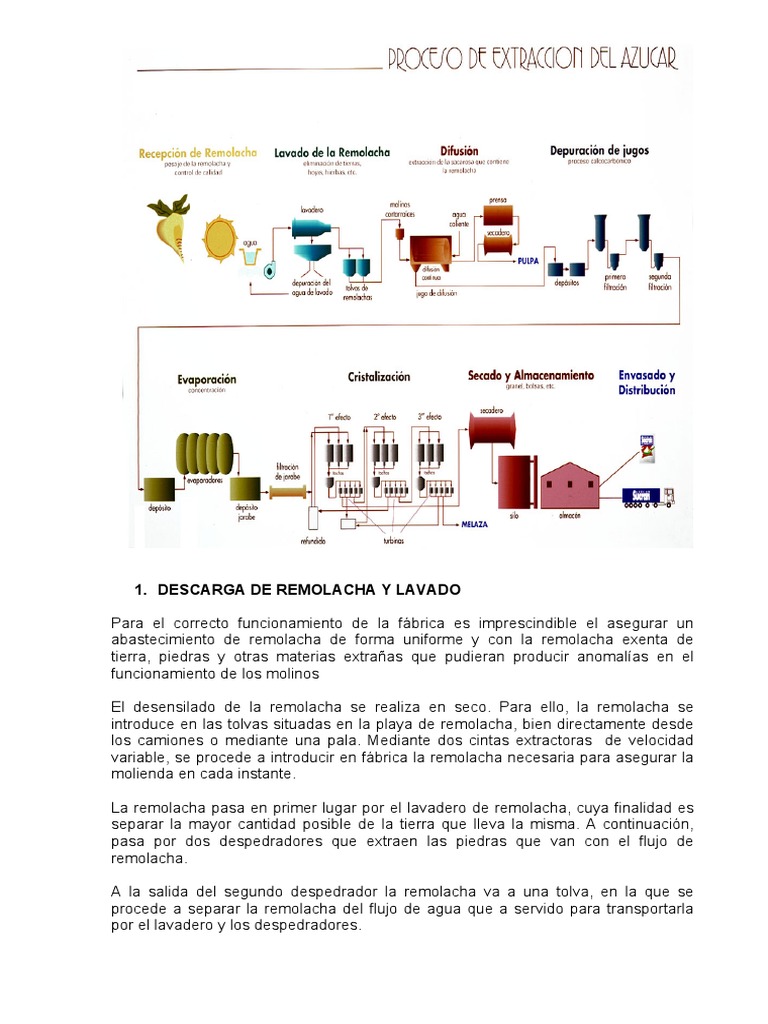 Proceso Azucar | PDF | Evaporación | Melaza