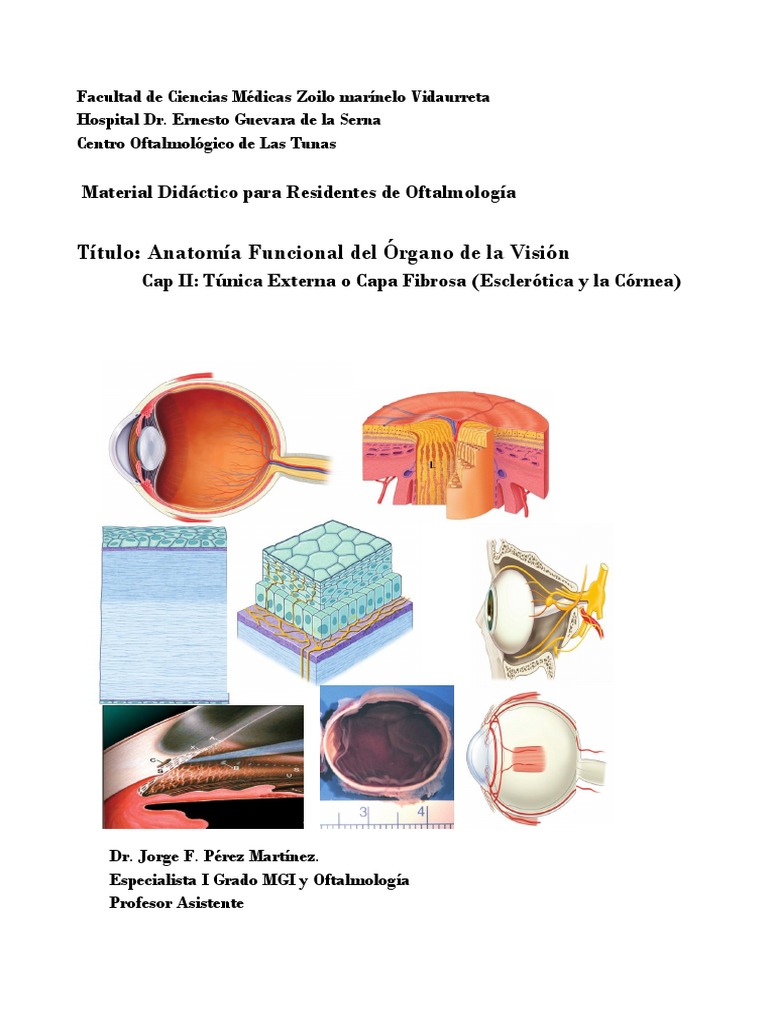 Anatomia Esclerotica y Cornea | PDF | Córnea | Ojo humano