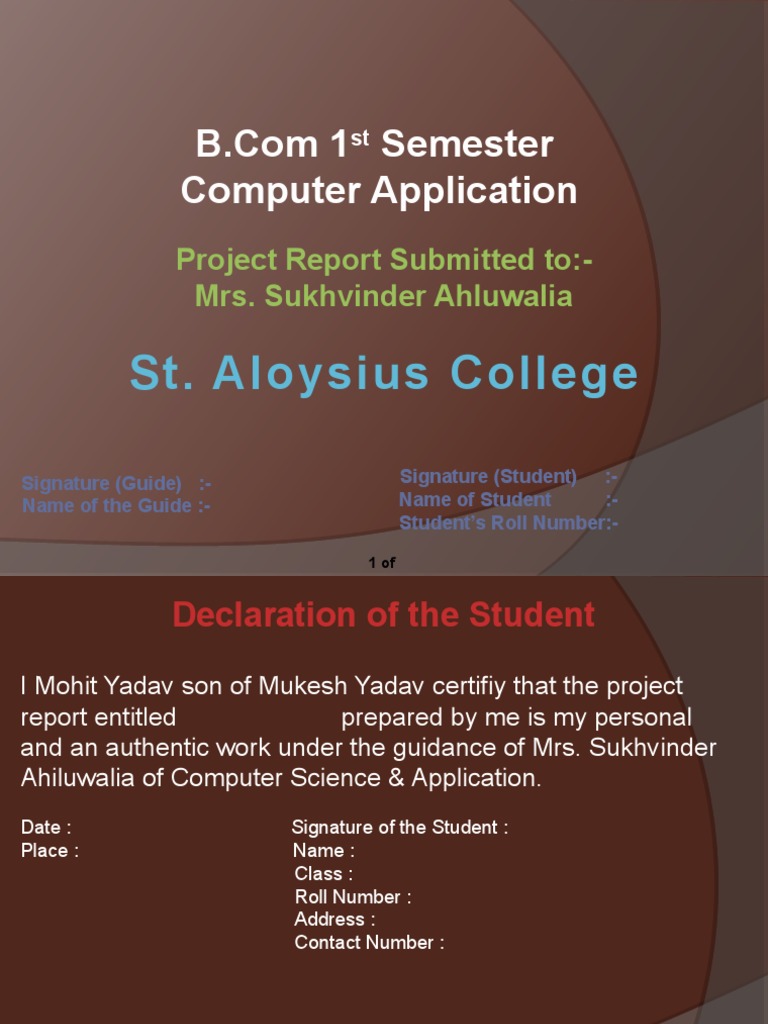 B.Com 1st Sem Computer Application Project | PDF