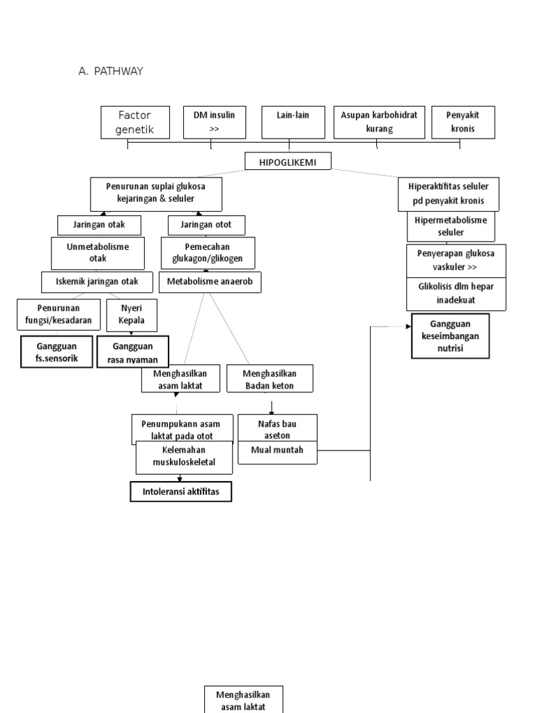Pathway Hipoglikemia | PDF