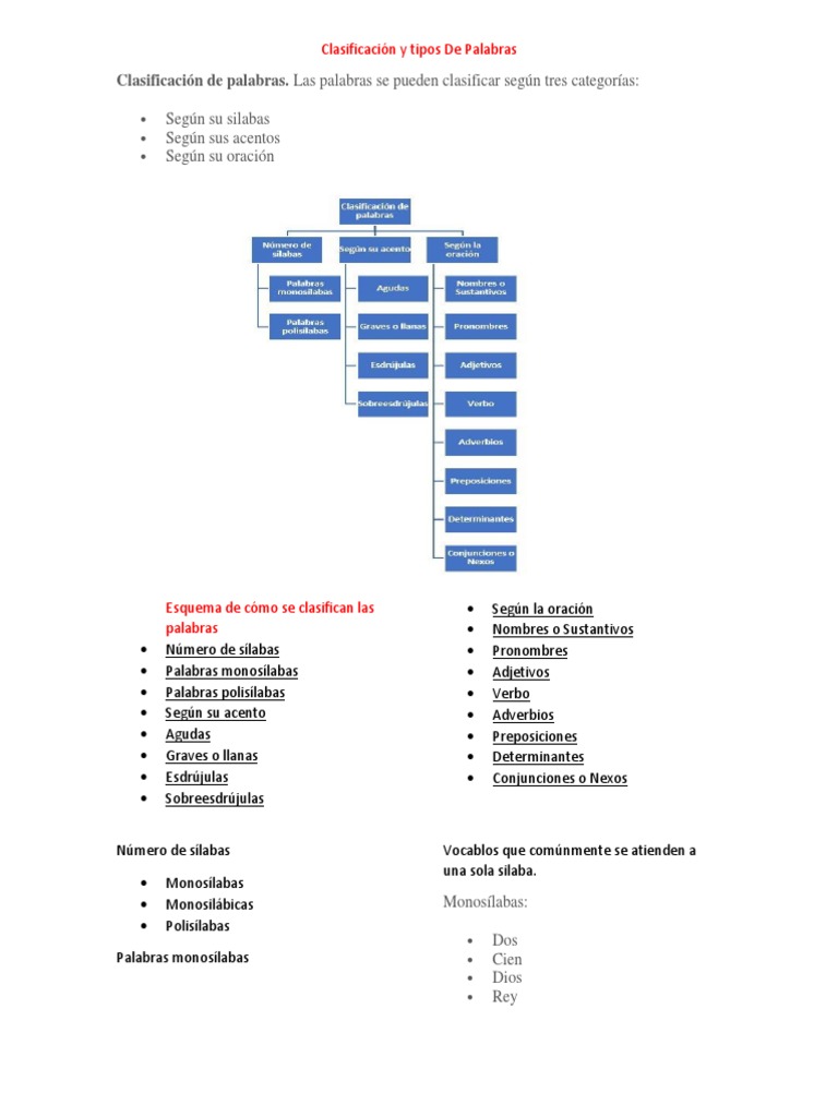 Clasificación y Tipos de Palabras | Gramática | Tipología Lingüística