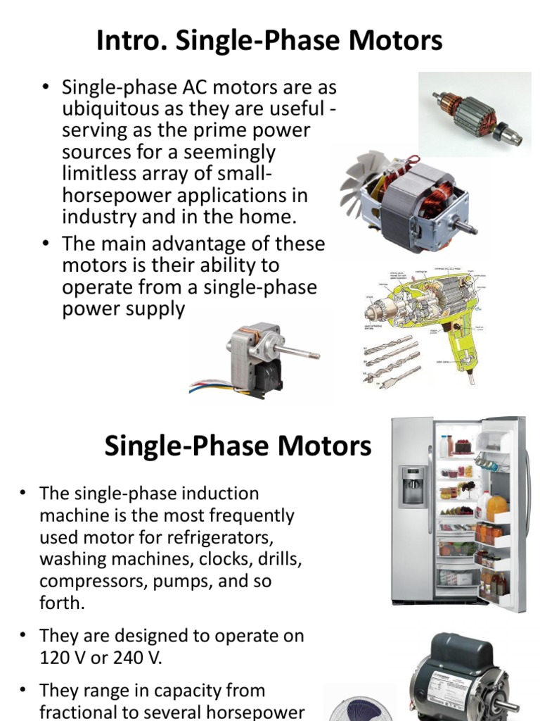 S Phase Mot Intro | PDF