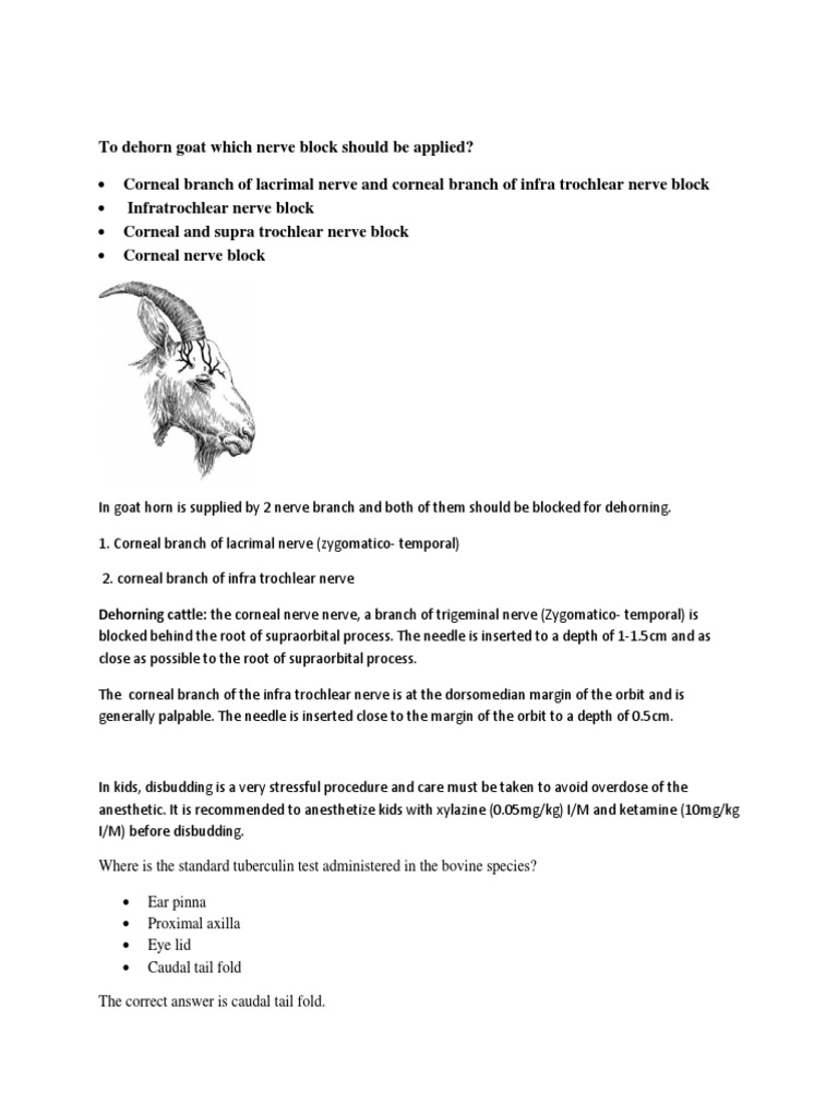 Veterinary Question | PDF | Medical Specialties | Medicine