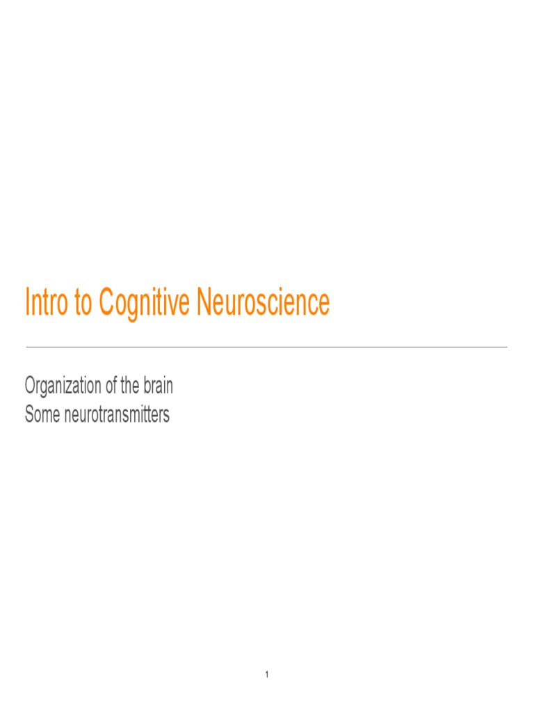 Cognitive Neuroscience | PDF | Acetylcholine | Cerebrum