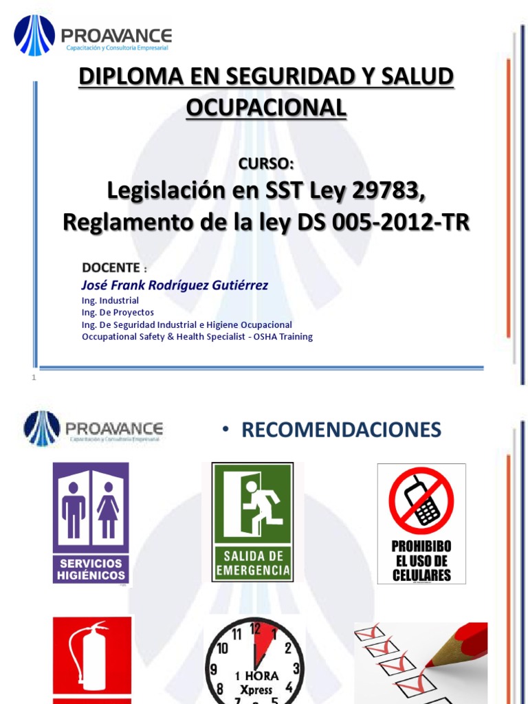Ley 29783 | PDF | Administración de Seguridad y Salud Ocupacional ...