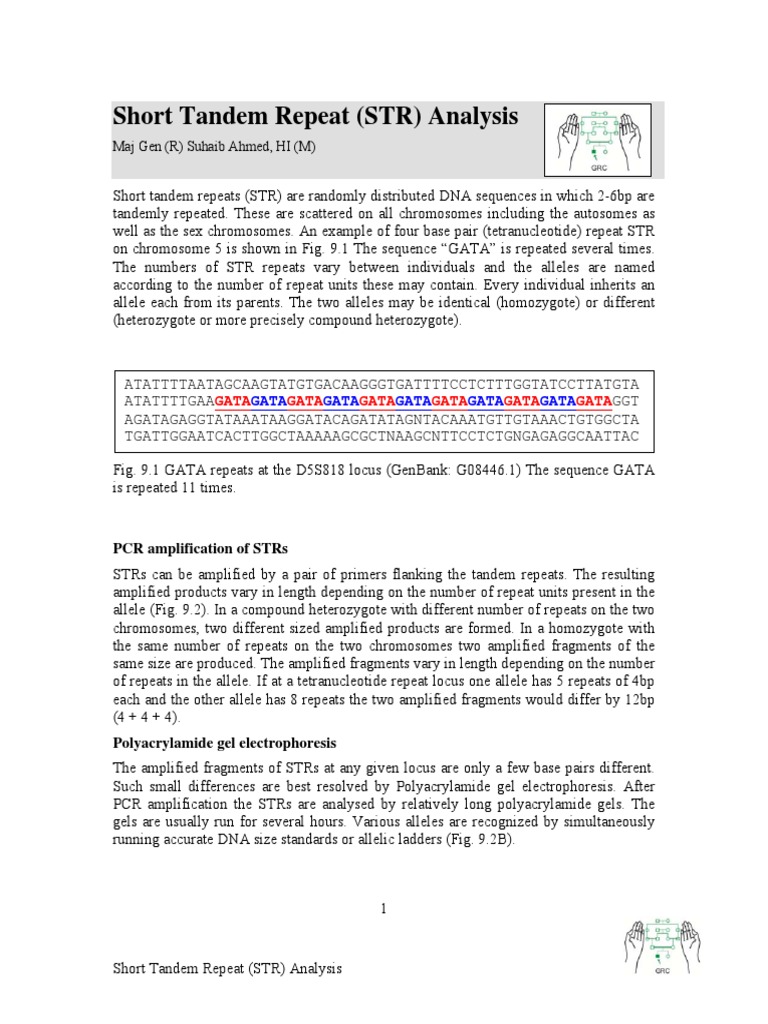 9 STR | PDF | Microsatellite | Polymerase Chain Reaction