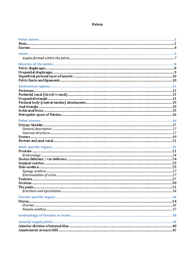 Pelvis Anatomy Diploma | PDF | Pelvis | Urinary Bladder