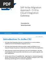 Ariba CIG Mapping Tool Overview | PDF | Software | Computer Programming