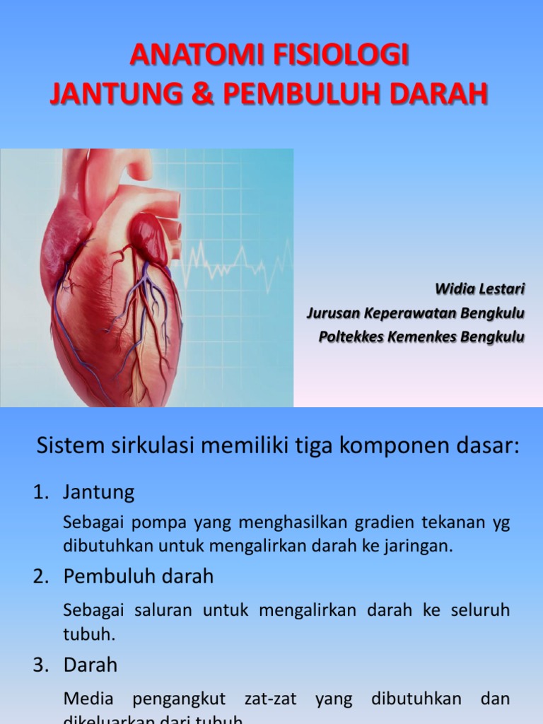 Anatomi Fisiologi Kardiovaskuler-1 | PDF