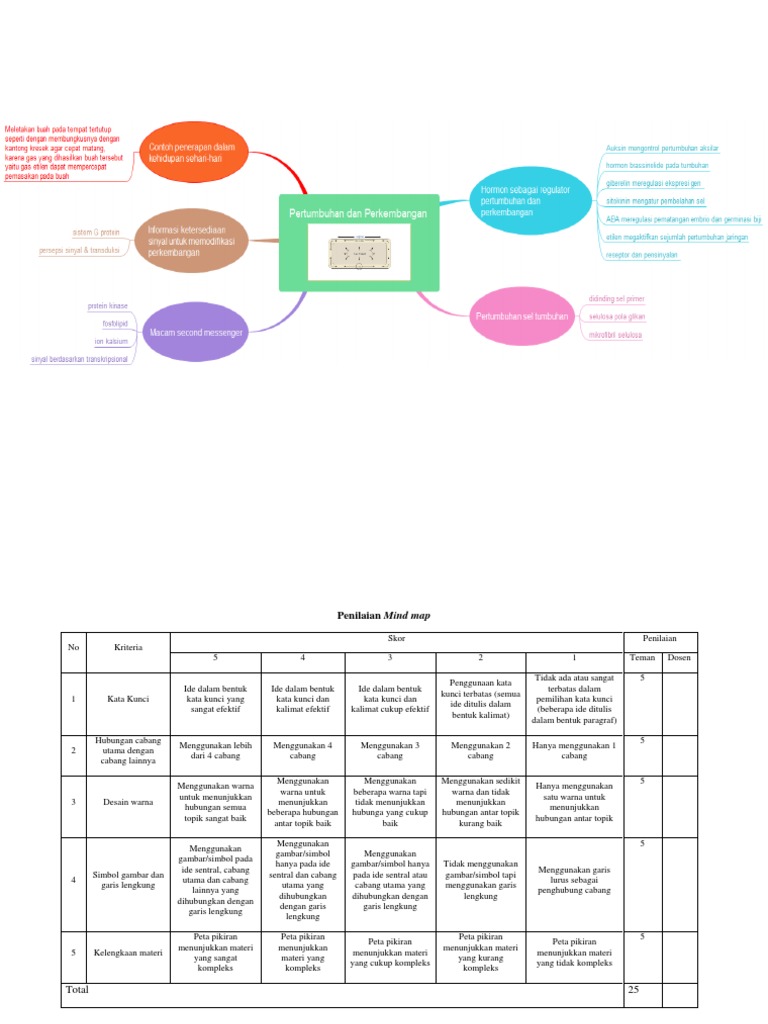 Mind Map Pertumbuhan Dan Perkembangan | PDF