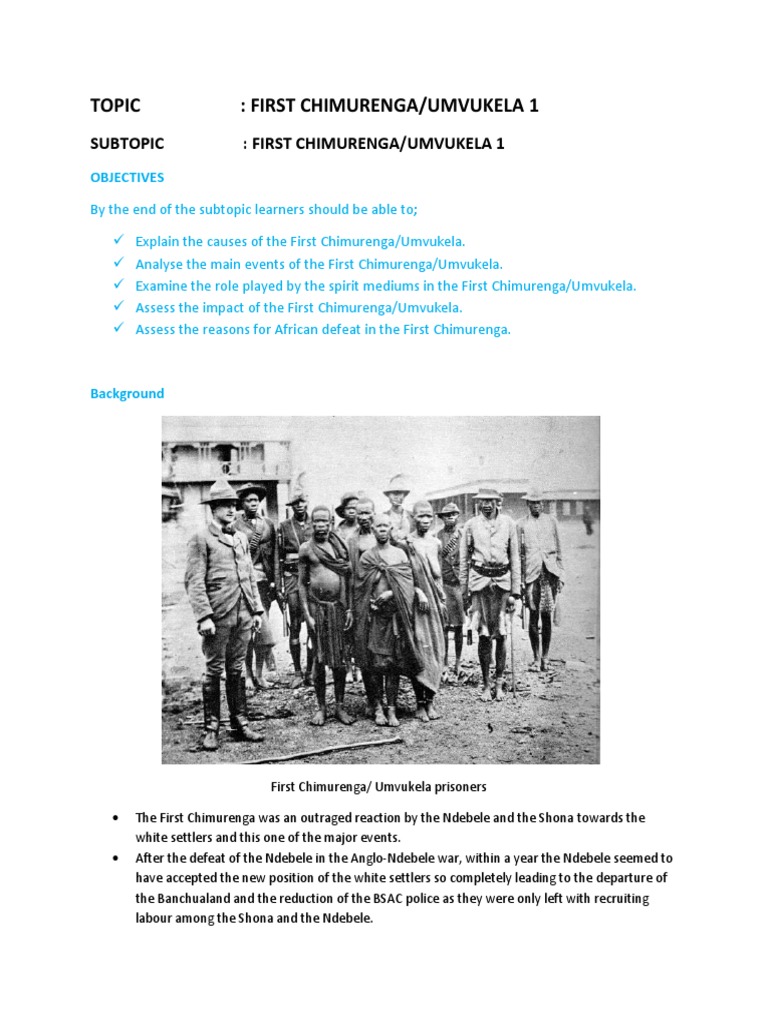 The First Chimurenga Notes | Zimbabwe