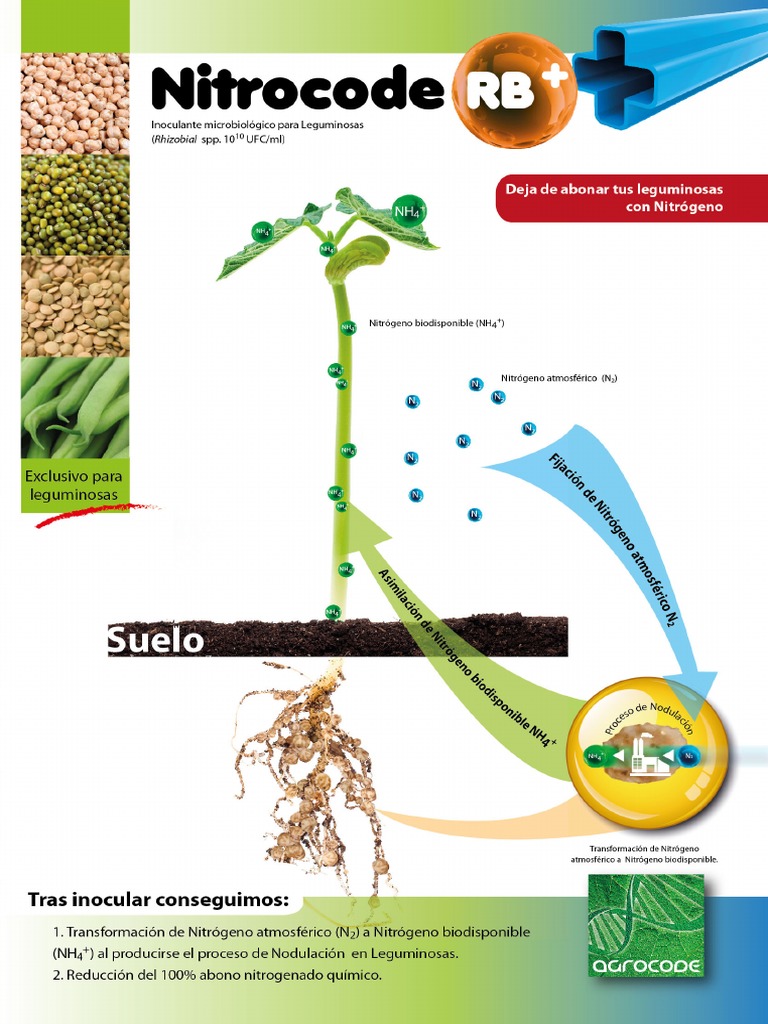Nitrocode RB Dip Es | PDF