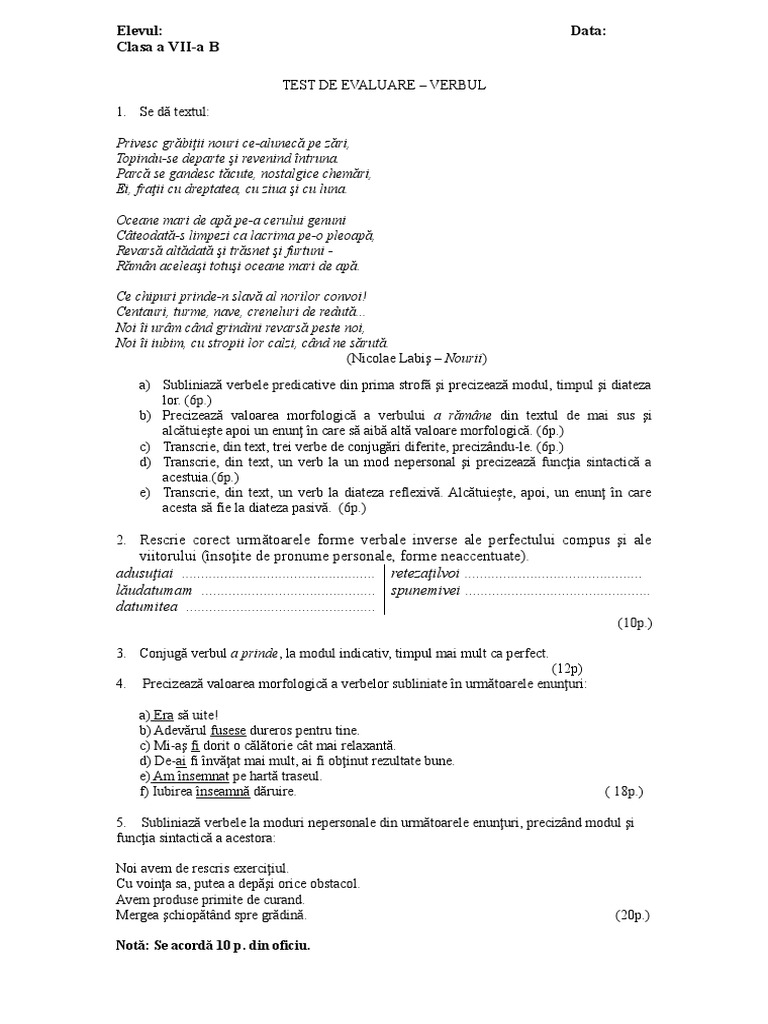 Test Verbul VII | PDF