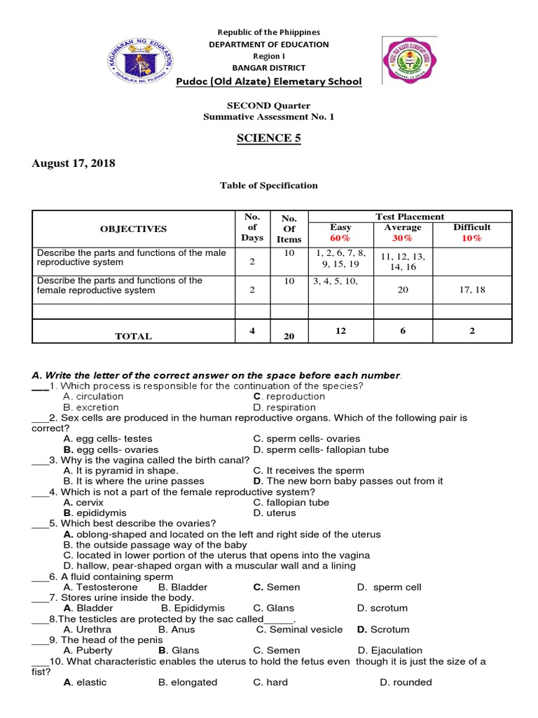 1st Summative Test A | PDF | Reproductive System | Testicle
