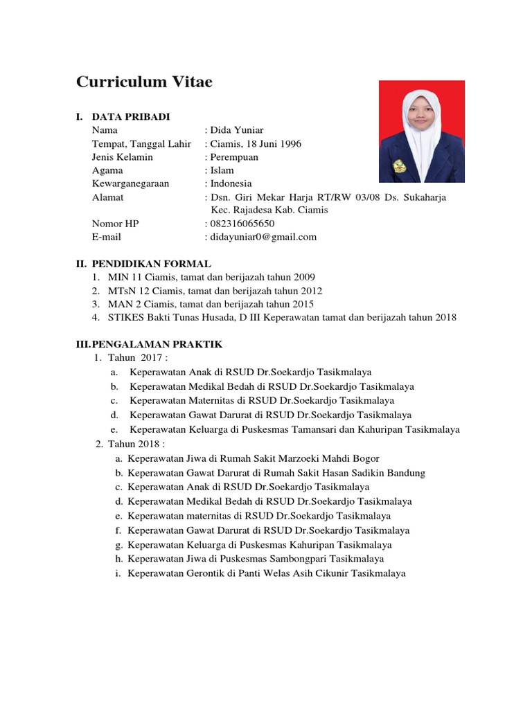 CV New Dida | PDF