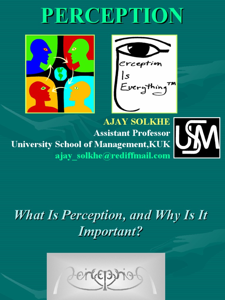 Assistant Professor University School of Management, KUK: Ajay Solkhe | PDF | Perception | Cognition