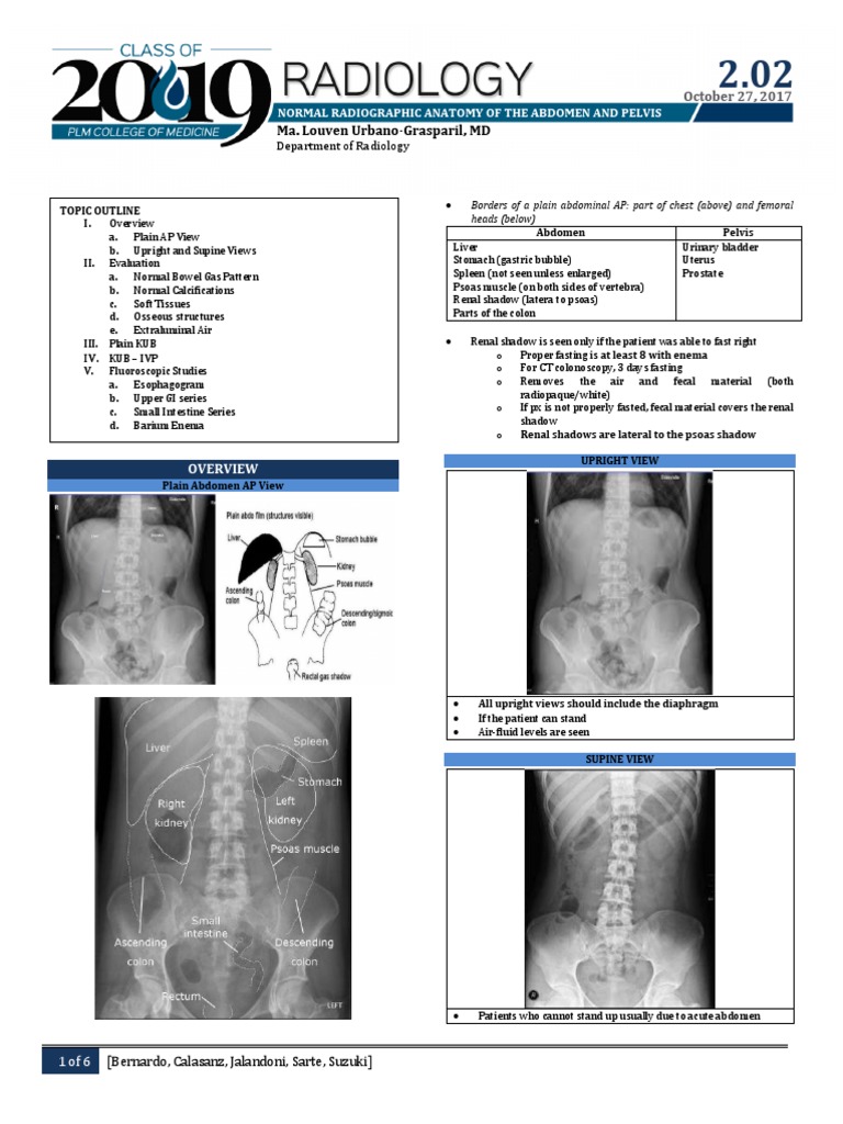 Rad 2.02 Normal Radiographic Anatomy of The Abdomen and Pelvis | PDF ...