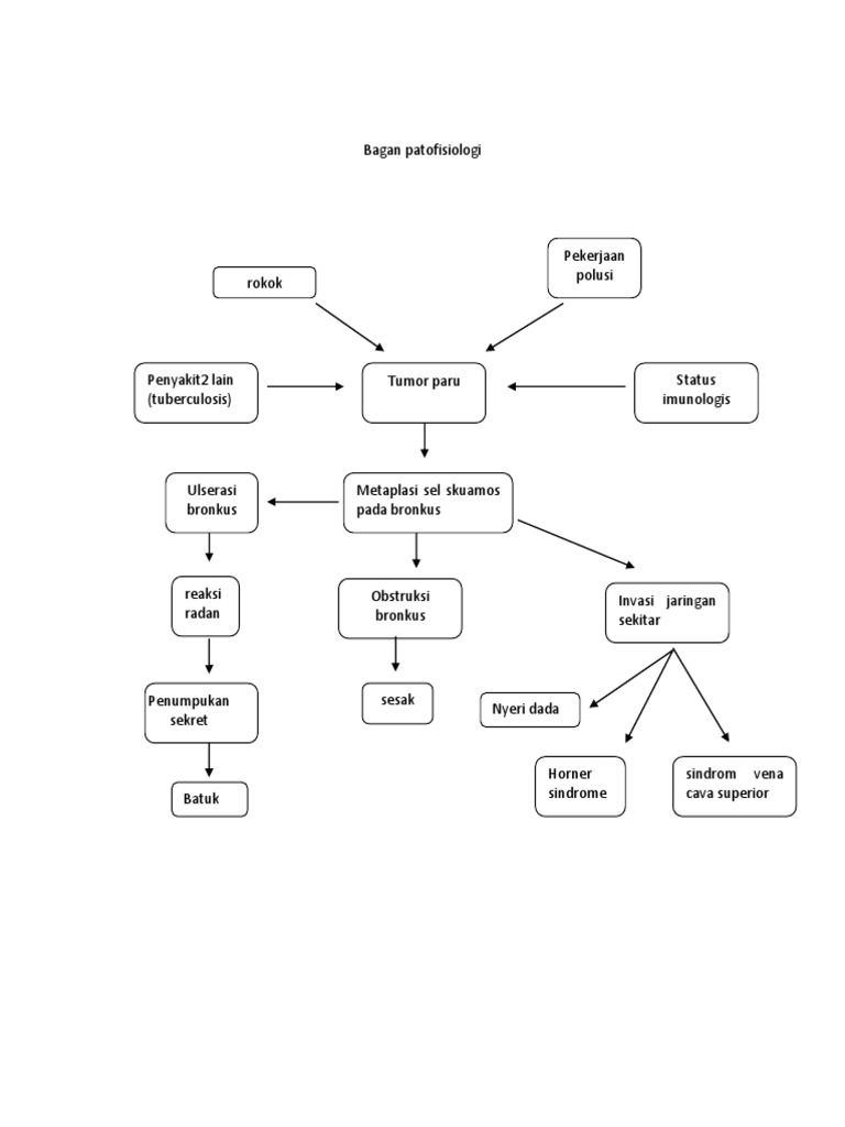 Bagan Patofisiologi | PDF