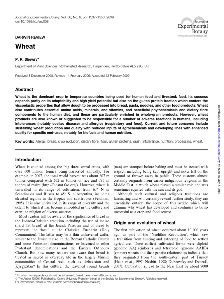 Wheat | PDF | Wheat | Cereals