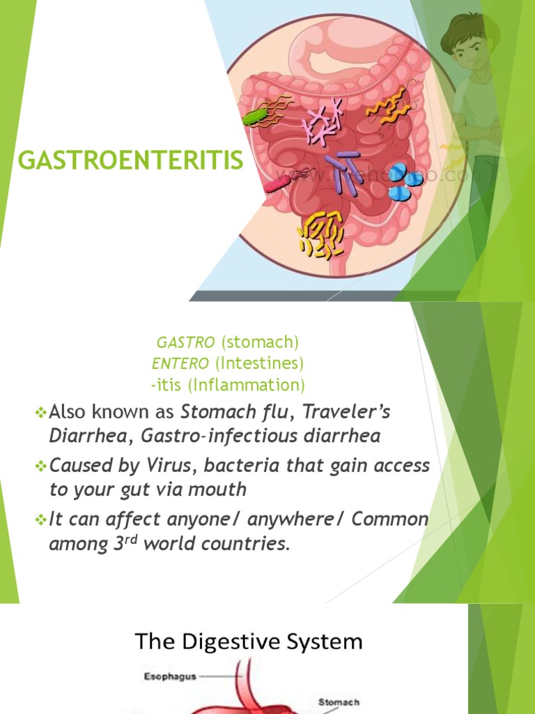 Gastroenteritis Case Report | PDF | Diarrhea | Microbiology