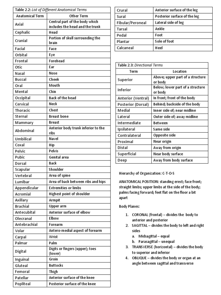 Anatomy Terms And Definitions Anatomical Terms & Planes Guide For EMRs
