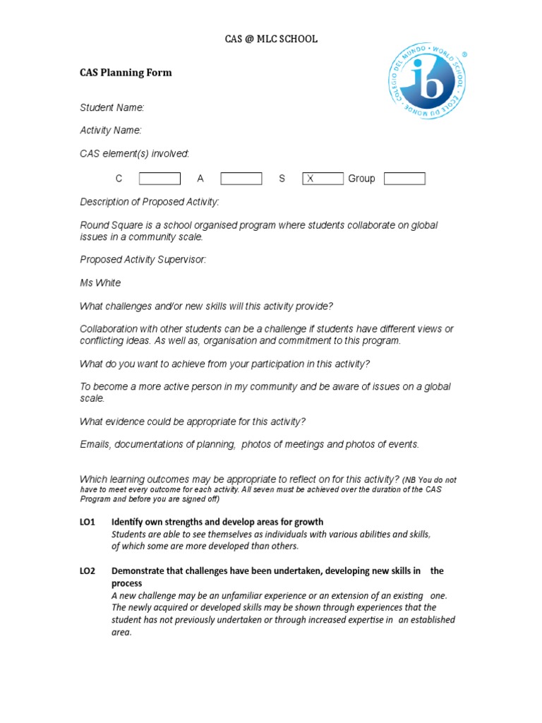 Cas Planning Form Service | PDF | Applied Psychology | Change